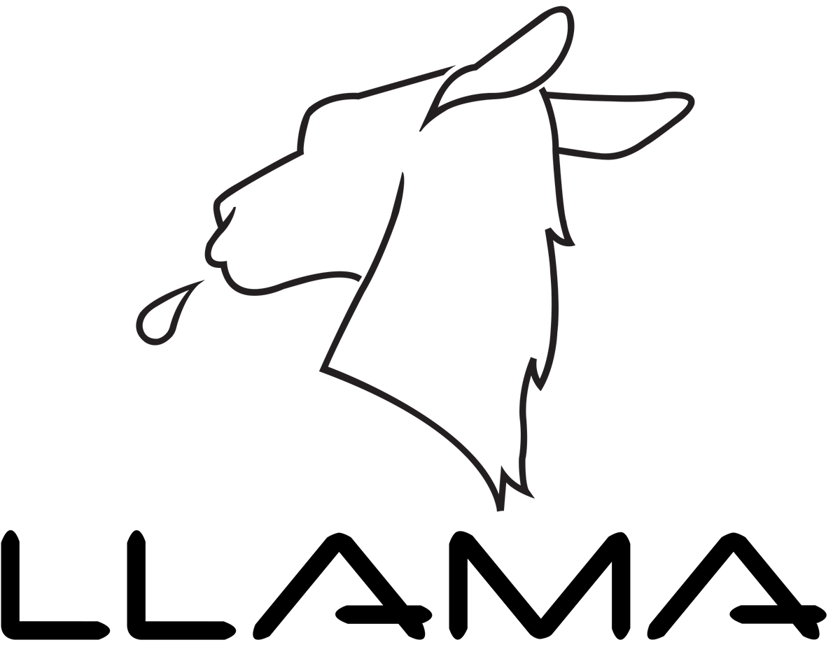 Sunglasses – Llama Spit Brand